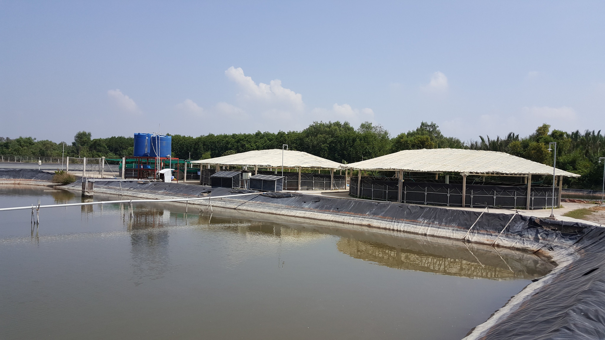 Giải pháp công nghệ nuôi thâm canh tiết kiệm nước và bền vững