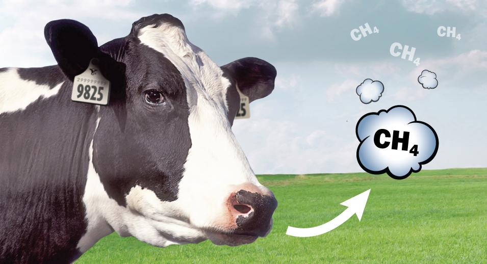 Các quỹ từ thiện dành 450 triệu USD hỗ trợ các nỗ lực cắt giảm khí methane