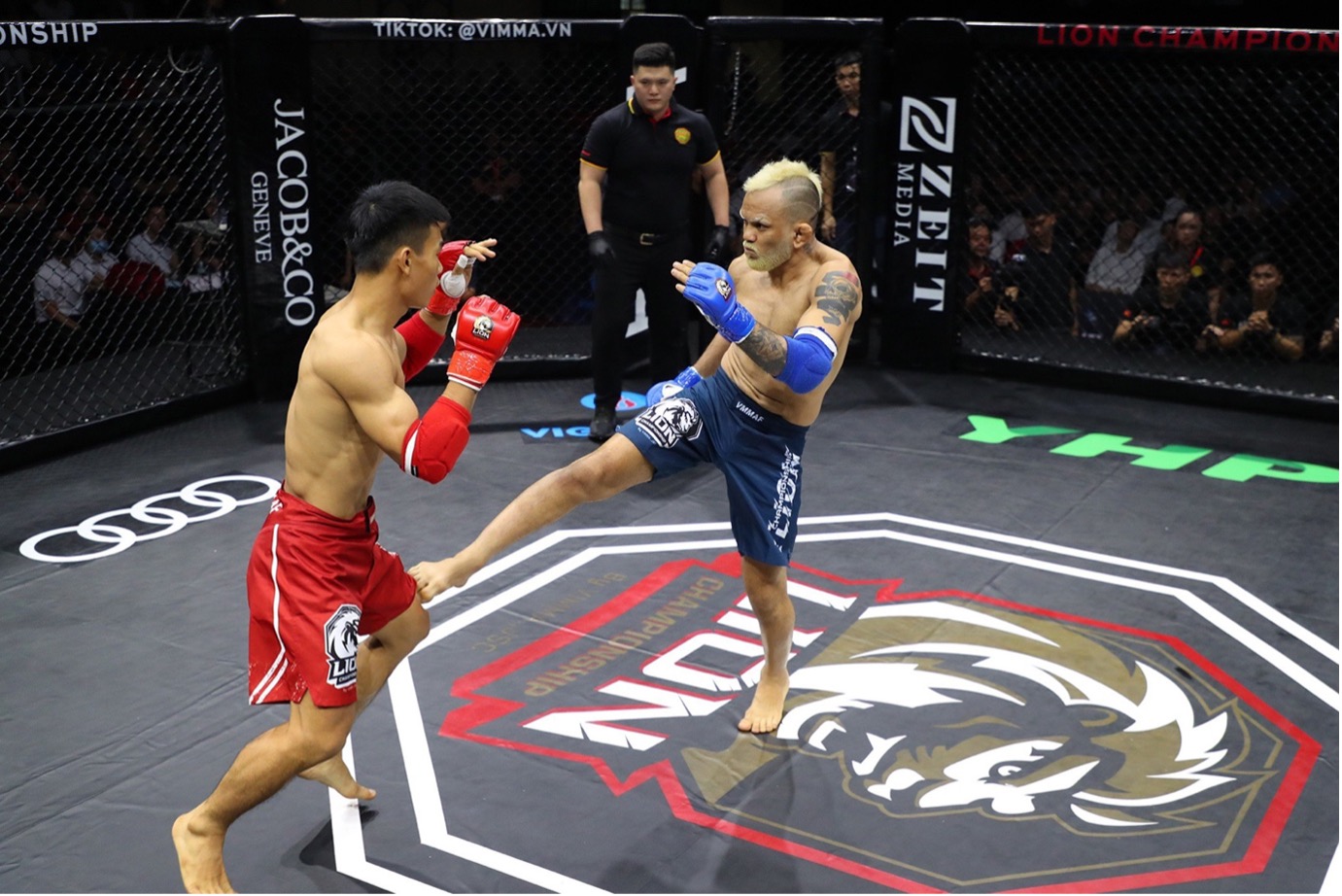 Trần Ngọc Lượng bất ngờ hạ võ sĩ MMA Brazil