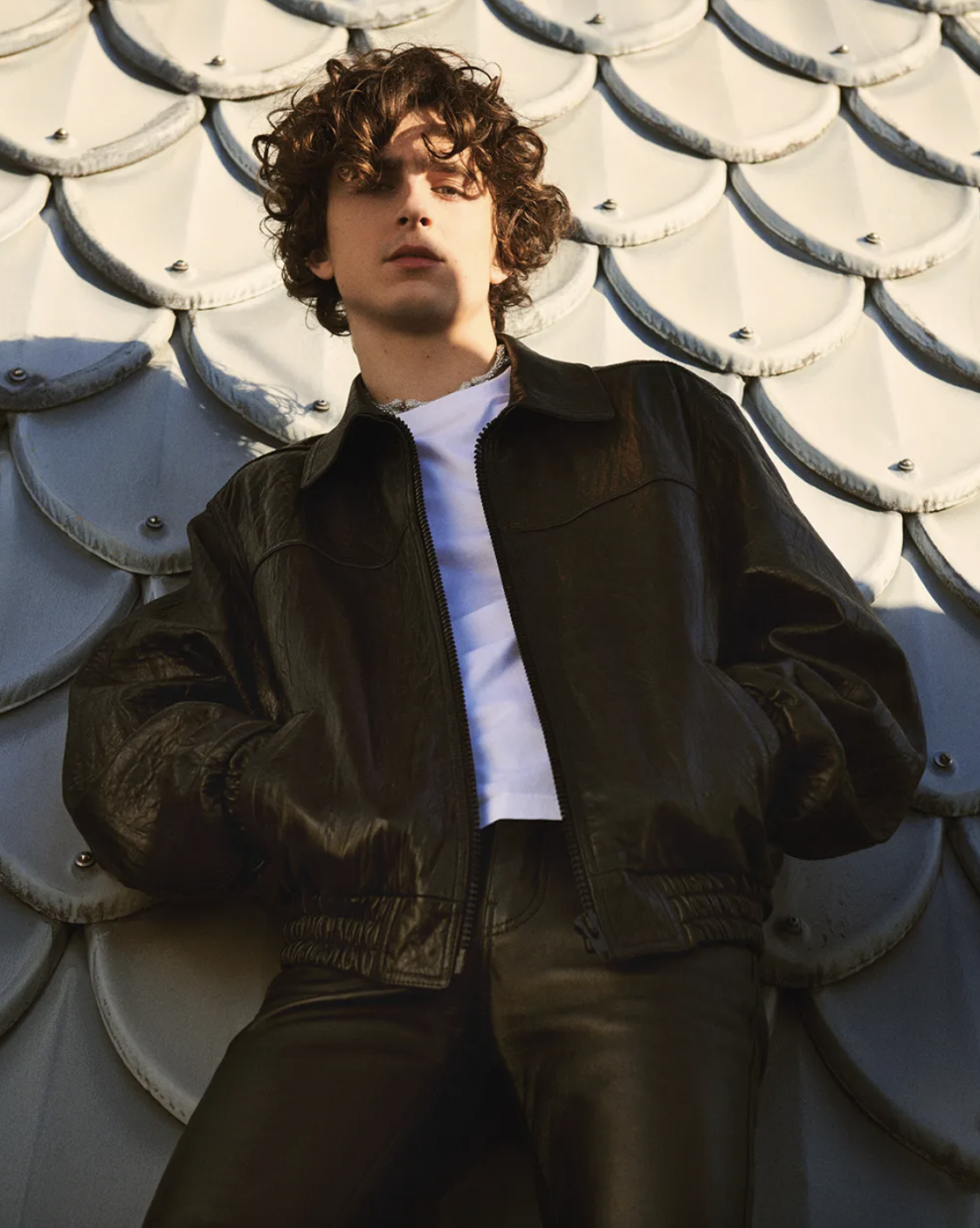 Timothée Chalamet - "Con cưng" mới của Hollywood