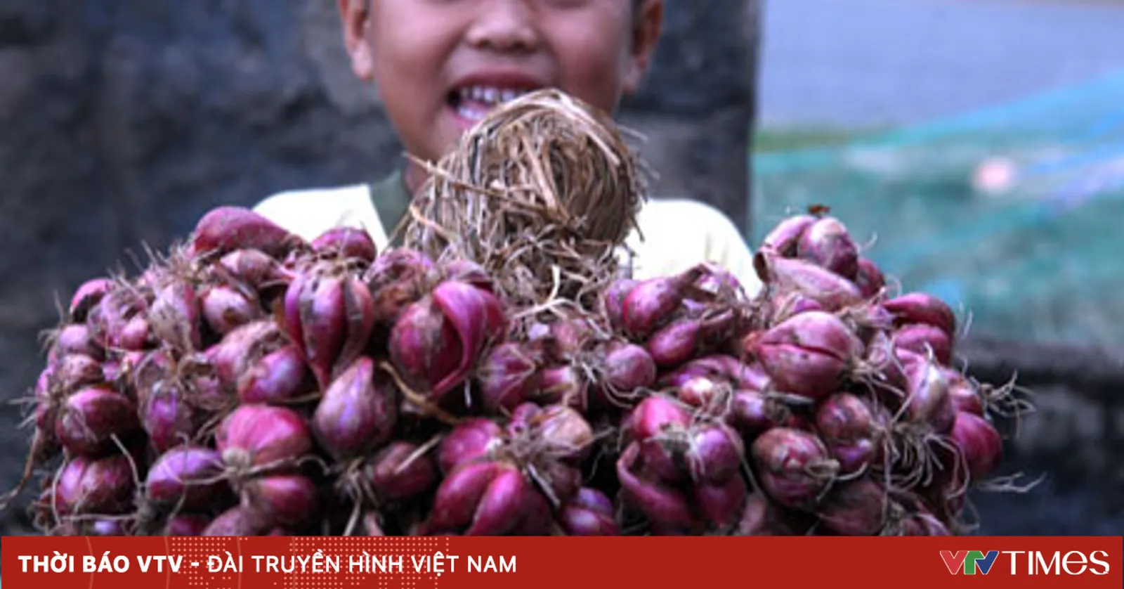 Thông tin người dân bị mù do hóa chất bảo quản hành tím là sai