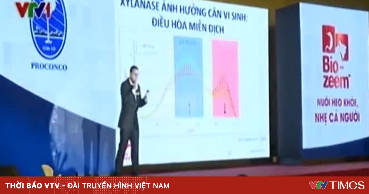 Cám bổ sung Bio-Zeem™ - đột phá mới trong công nghệ chăn nuôi