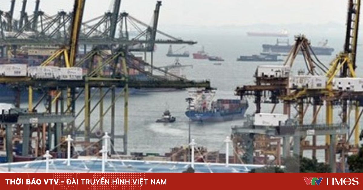 IMF hạ dự báo tăng trưởng kinh tế toàn cầu | VTV.VN