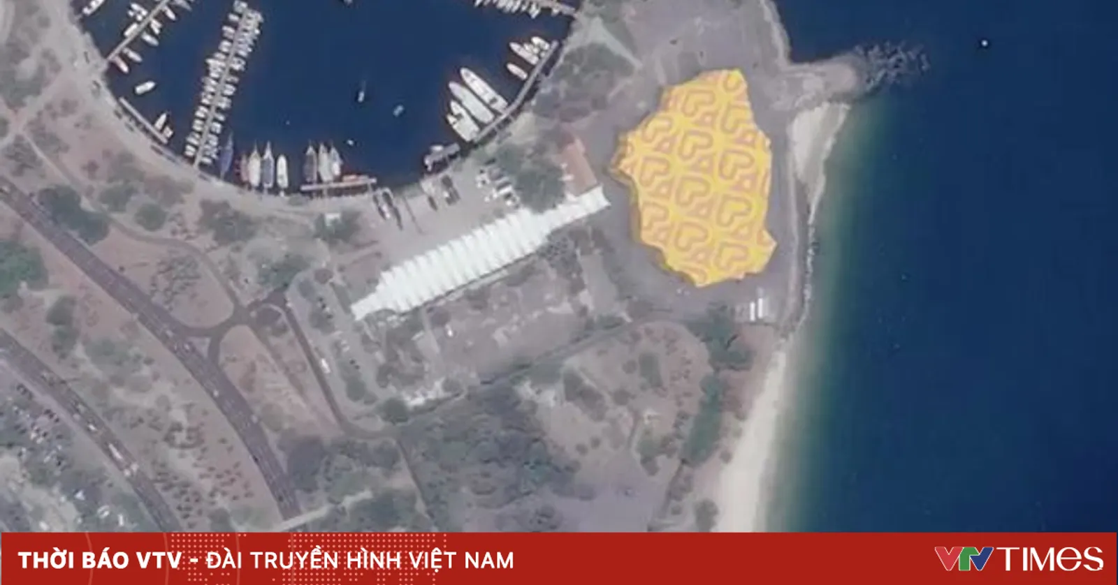 Chiêm ngưỡng bức ảnh động lớn nhất thế giới