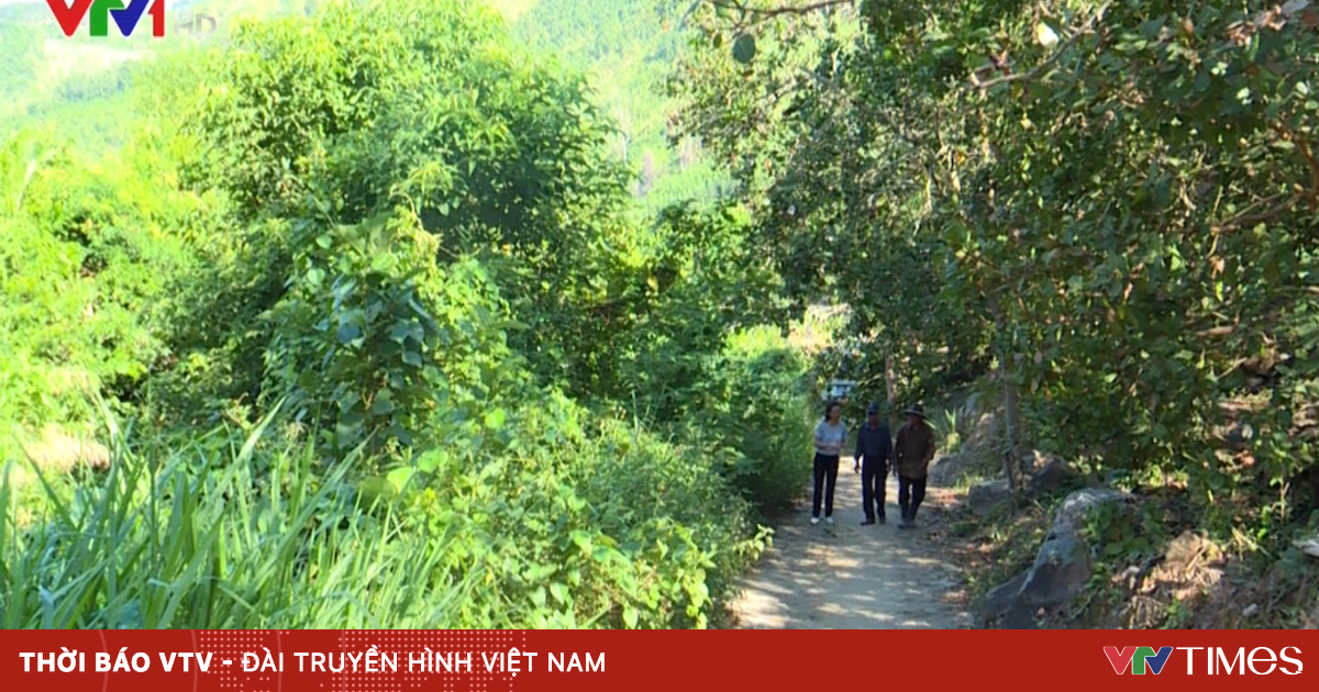 Đường bê tông “Cộng đồng” - Con đường dựa vào sức dân | VTV.VN