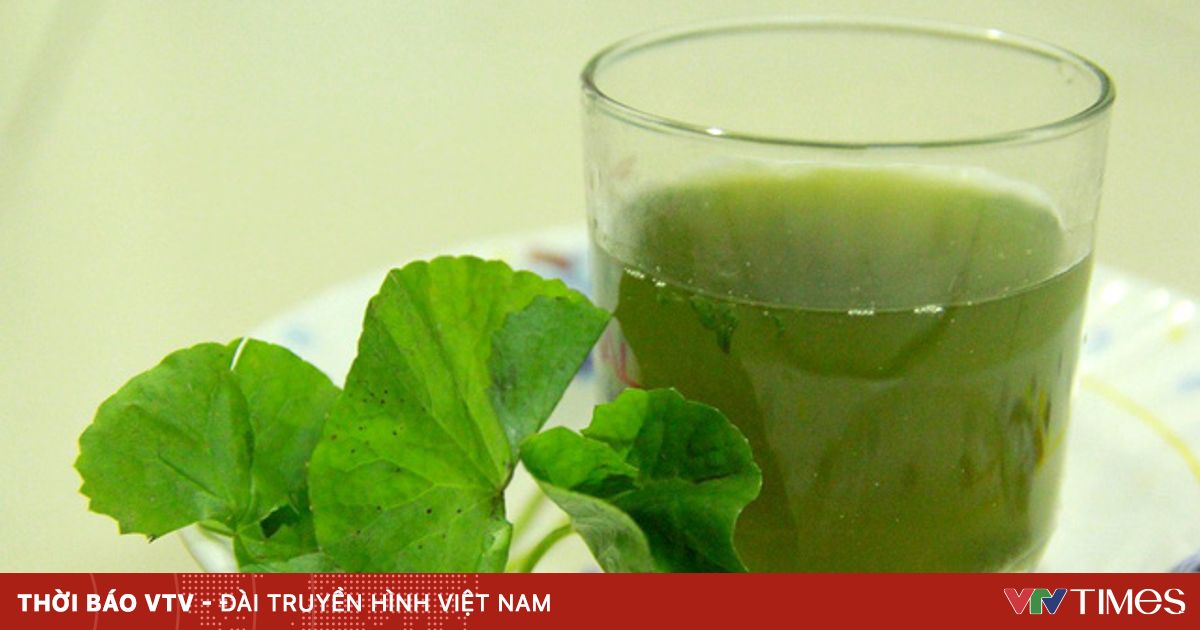 Cây rau má: Rau ăn - Vị thuốc