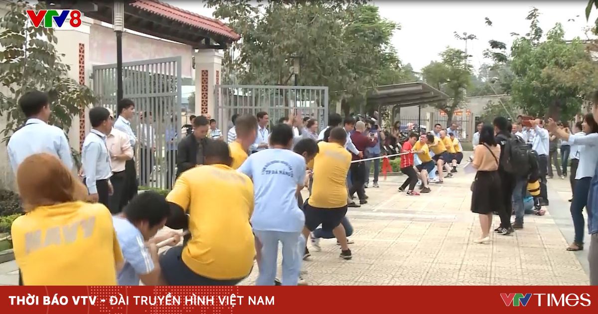 Thủy thủ đoàn tàu sân bay USS Carl Vinson tham gia hoạt động xã hội tại ...