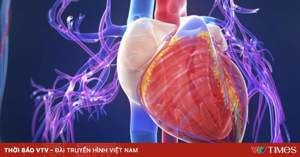 Cứu bé gái thoát cửa tử vì viêm cơ tim cấp