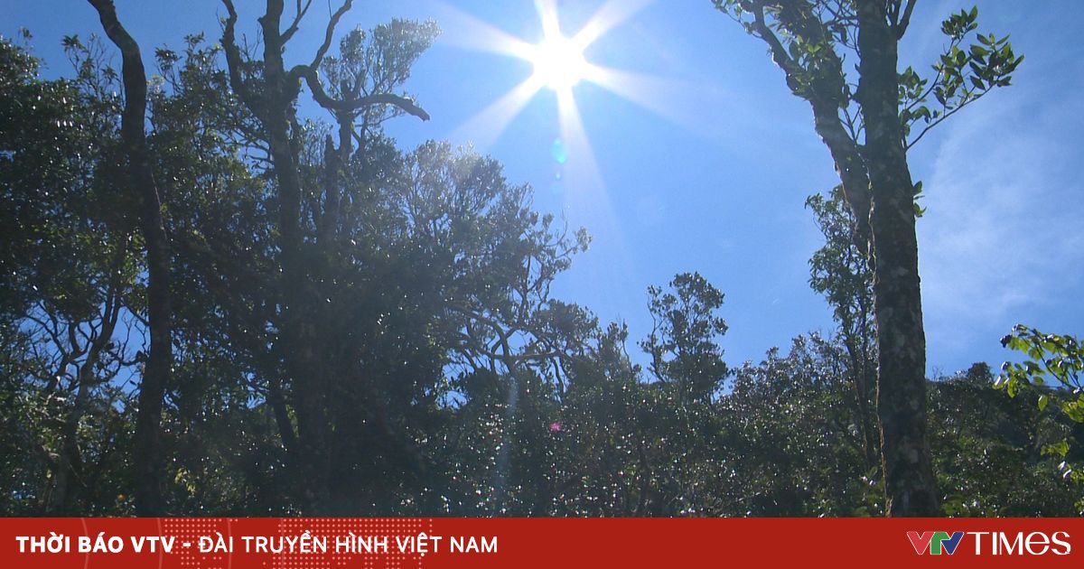 Thông điệp từ rừng rêu trên đỉnh Hòn Giao