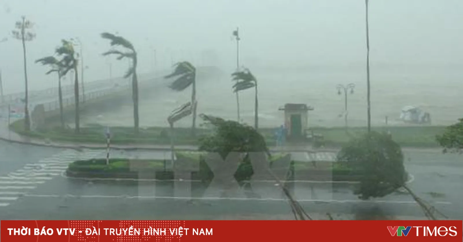 Năm 2020, đề phòng sự xuất hiện trở lại của siêu bão