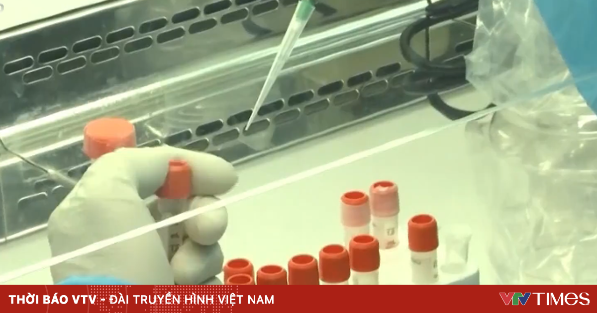 Tất cả F1, F2 của BN 950 ở Vân Đồn đều âm tính với SARS-CoV-2