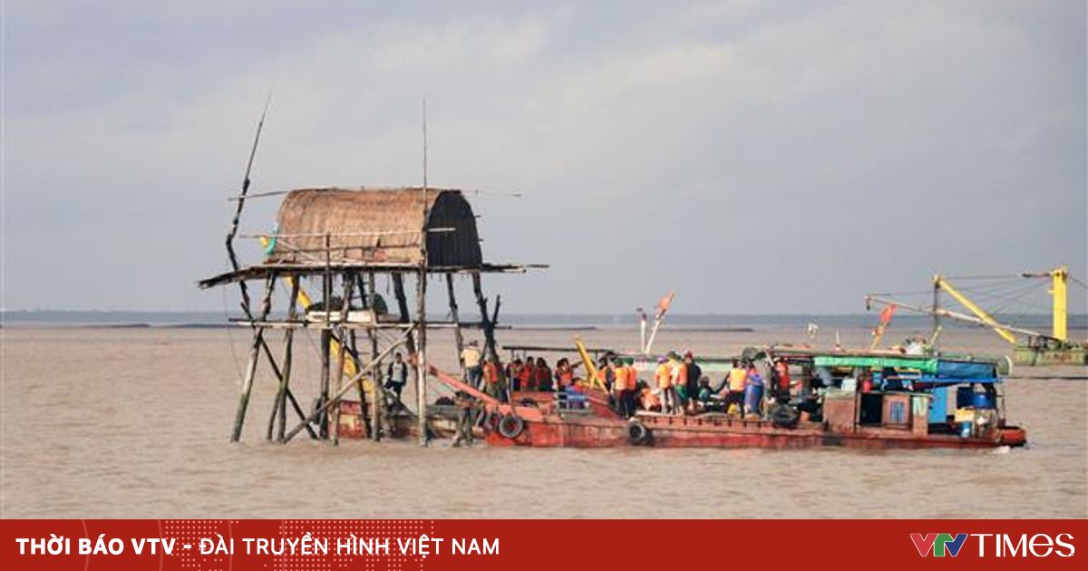 Hải Phòng tổ chức cưỡng chế 12 hộ dân nuôi ngao tại quận Hải An