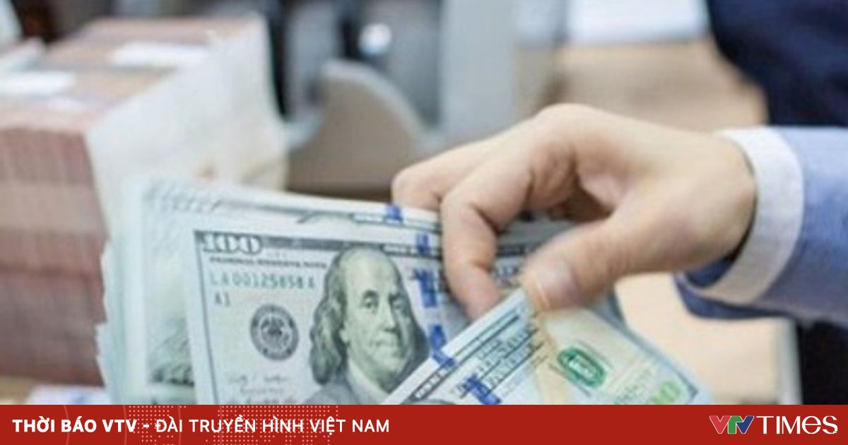 Phó Tổng Giám đốc IMF: NHNN Việt Nam nên tiếp tục chính sách tỷ giá ...