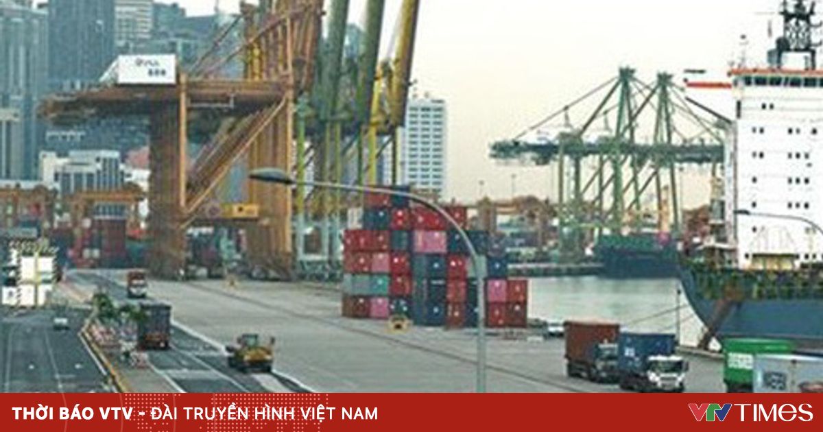 IMF nâng dự báo tăng trưởng kinh tế toàn cầu năm 2023