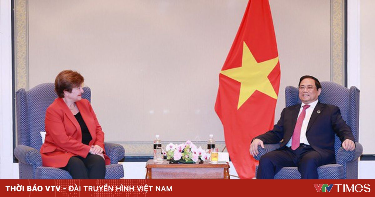 Tổng Giám đốc IMF: Việt Nam là ngôi sao sáng và sẽ tăng trưởng gấp đôi ...