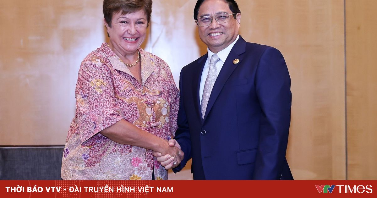 Việt Nam sẵn sàng chung tay cùng IMF triển khai các biện pháp thúc đẩy ...