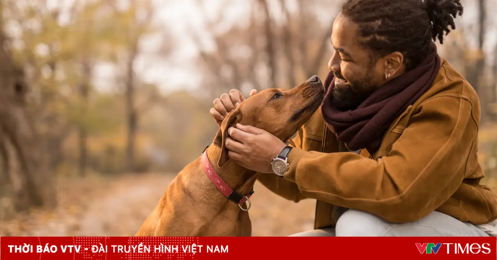 Những lời khuyên để giữ thú nuôi an toàn trong thời tiết lạnh