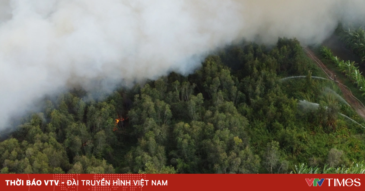 Cháy rừng tại Cà Mau, 40 ha bị thiêu rụi