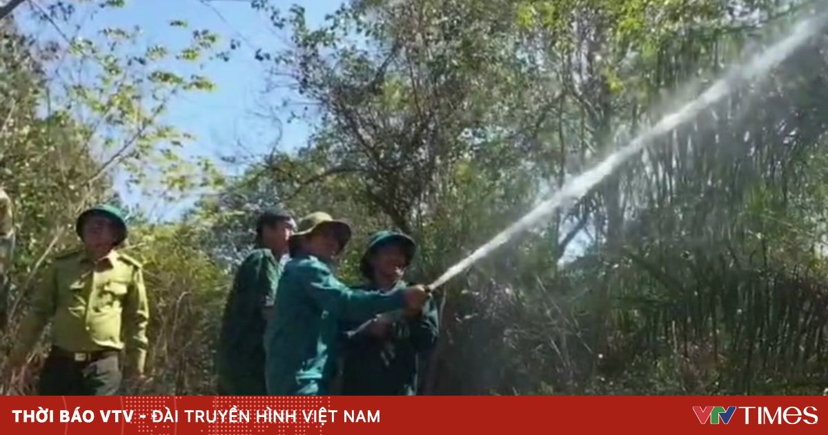 Vườn chim Bạc Liêu cảnh báo cháy rừng cấp cao nhất