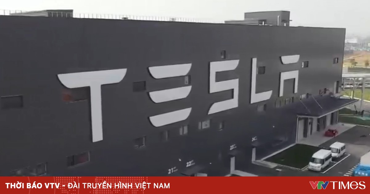 Tesla sa thải toàn bộ nhân viên mảng sạc xe điện