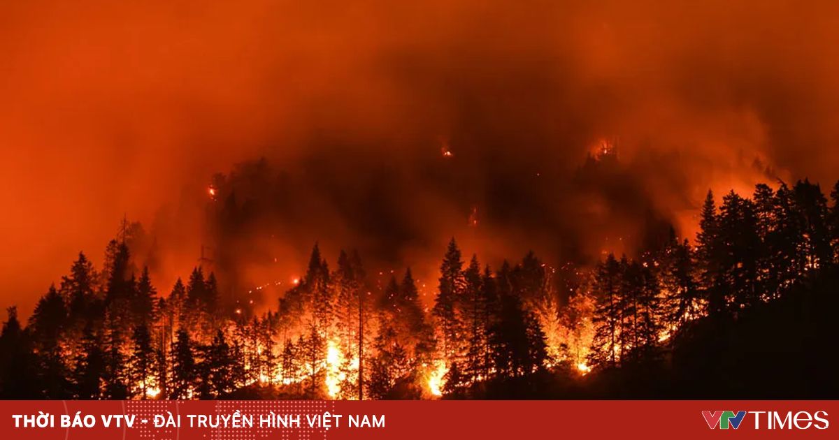 Cao điểm cháy rừng đang đến gần, Canada dự báo mùa hè nóng hơn thông thường