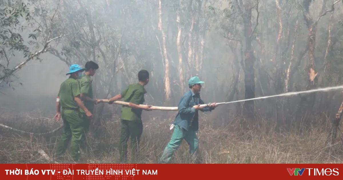 Xuyên đêm ứng trực ngăn cháy rừng tại Vườn quốc gia Tràm Chim