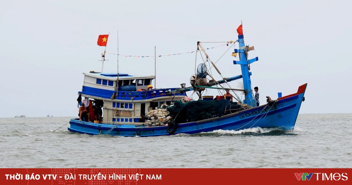 Quyết tâm gỡ "thẻ vàng" IUU trong năm 2024