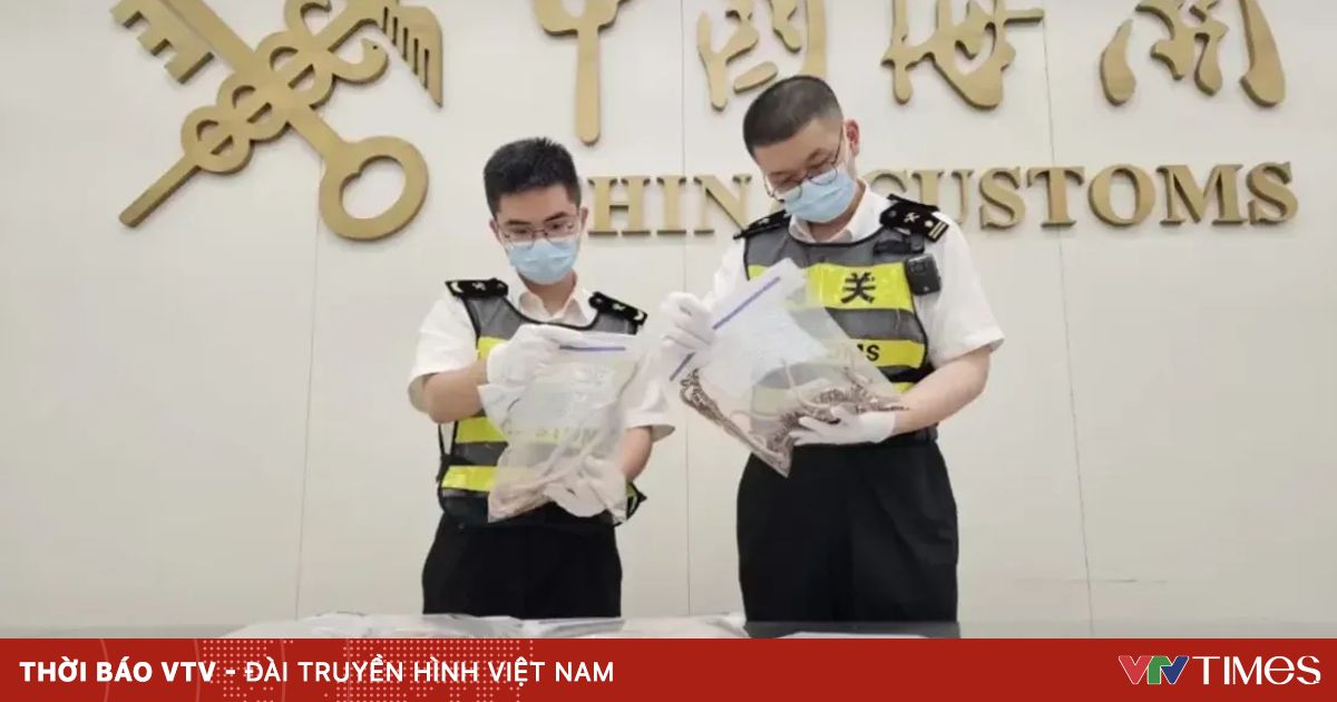 Trung Quốc: Bắt kẻ buôn lậu hơn 100 con rắn sống được giấu trong quần