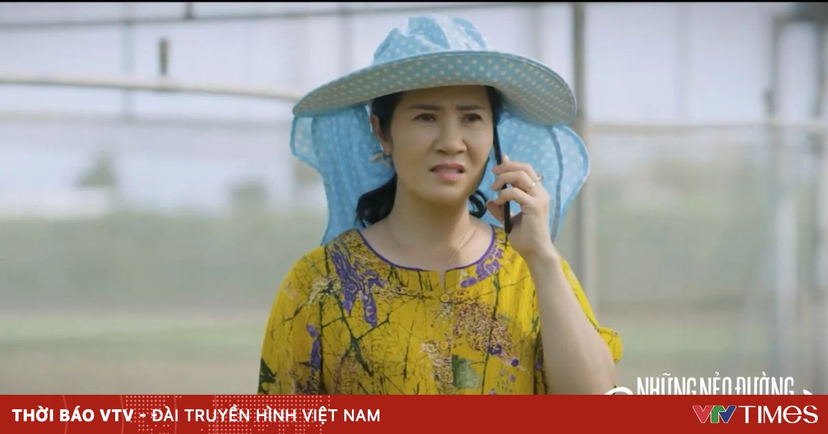 Những nẻo đường gần xa - Tập 46: Bà Châu lo sợ bị Ngọc lừa đảo