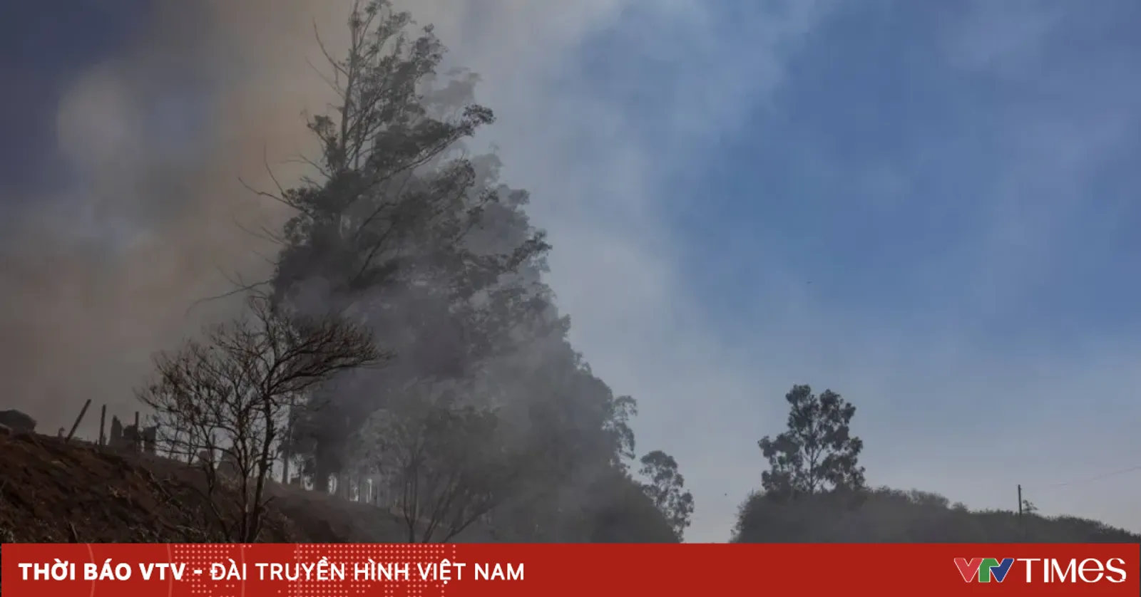 Thành phố lớn nhất Brazil chìm trong khói cháy rừng