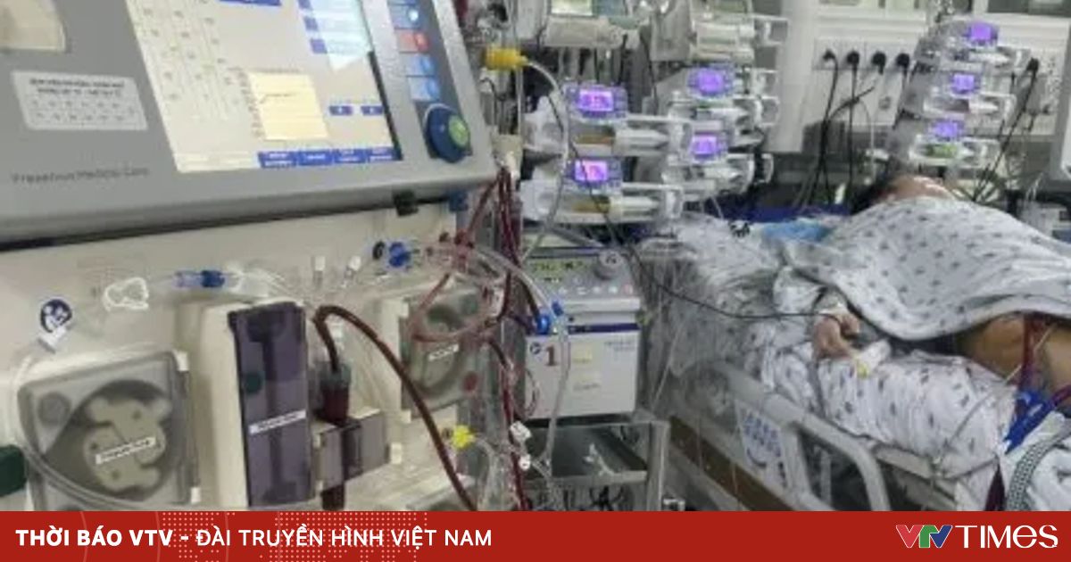 Can thiệp ECMO cứu bé gái sốc nhiễm trùng, suy đa cơ quan nặng | VTV.VN