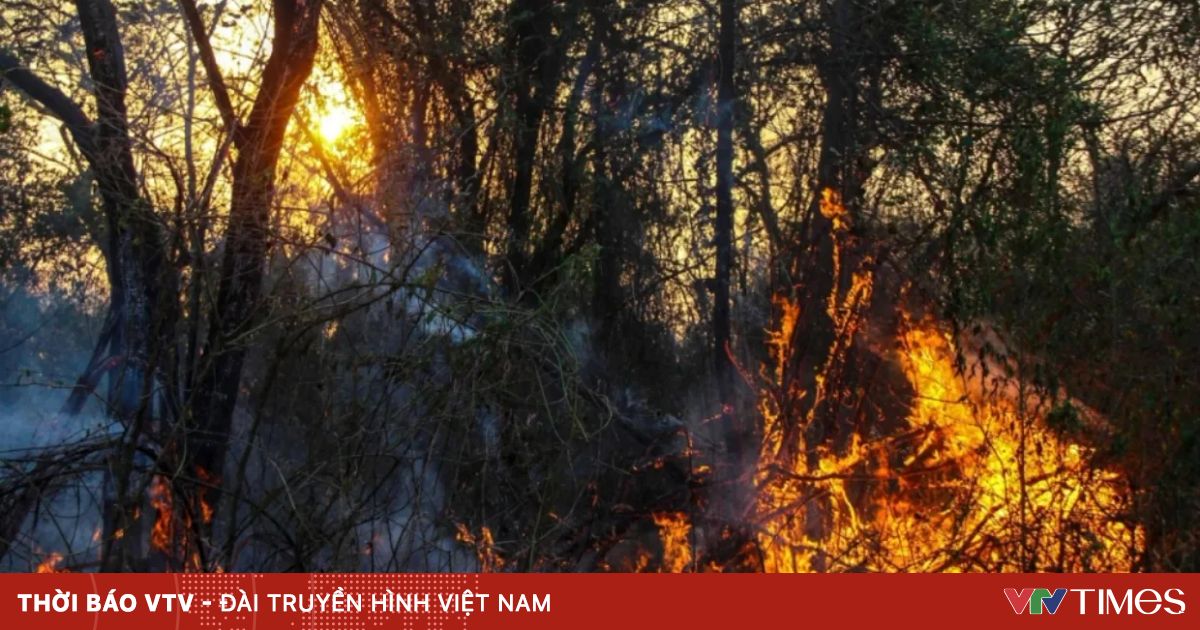 Nam Mỹ chìm trong biển lửa, phá vỡ kỷ lục cháy rừng