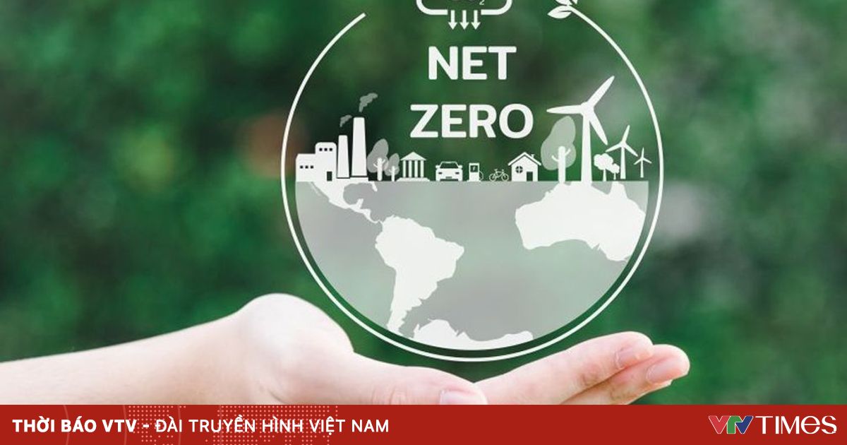 Net Zero 2025: Quỹ đạo mới