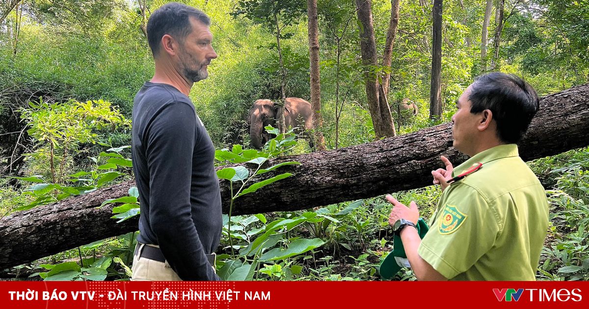 Chung tay cùng thế giới bảo vệ động, thực vật hoang dã