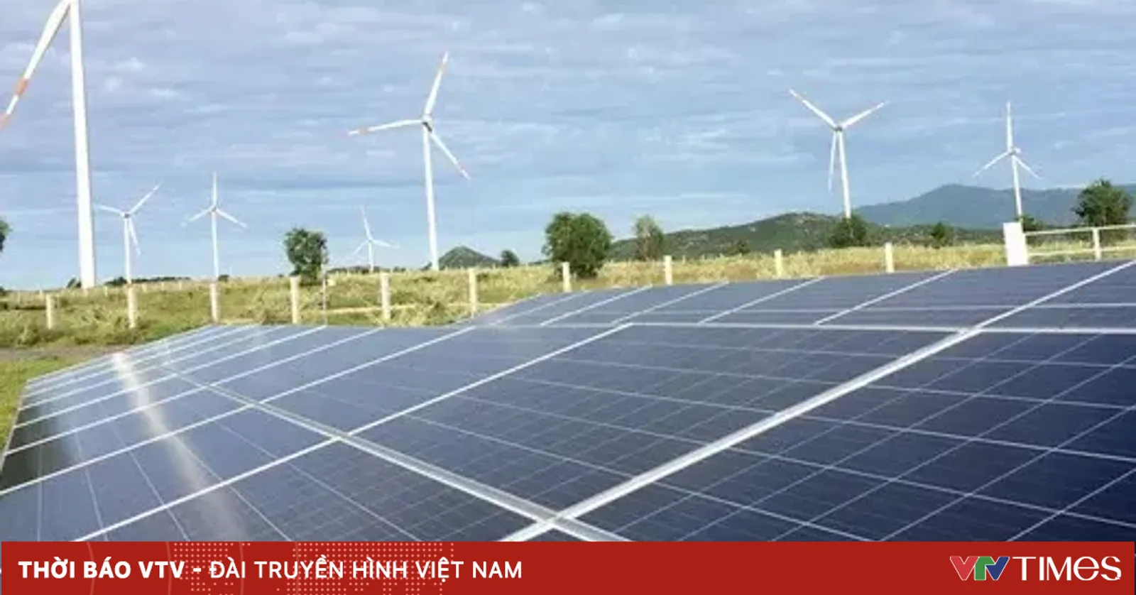 Trung Quốc đẩy mạnh hợp tác với Tây Á trong năng lượng xanh
