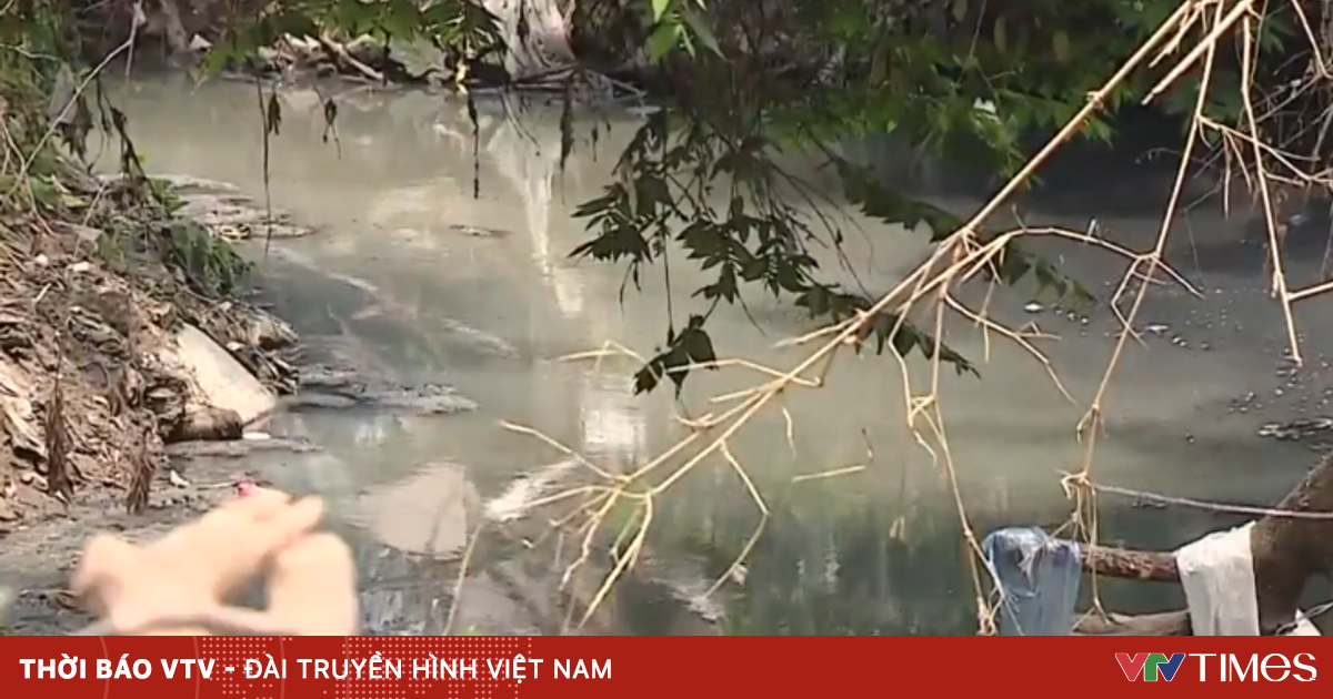 Hà Nội: Dự án chậm, mương thành "ổ rác", dân sống chung với ô nhiễm