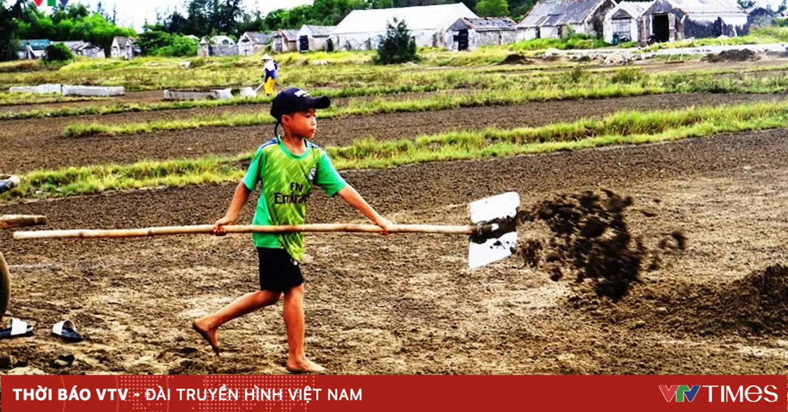 Ngày hè của những “diêm dân nhí”