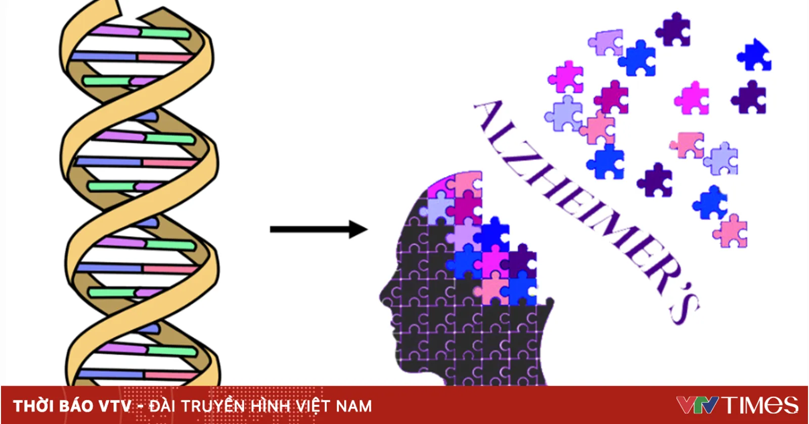 Chạy bộ giúp kích hoạt gene chống lại bệnh Alzheimer