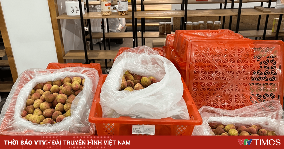 Vải thiều Việt Nam xuất sang thị trường Hoa Kỳ