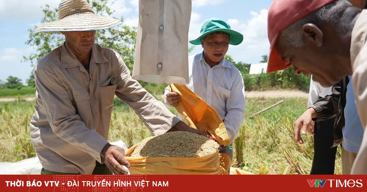 VTV Đặc biệt “Hạt giống hạnh phúc”: Dấu ấn tình hữu nghị bền chặt Việt ...