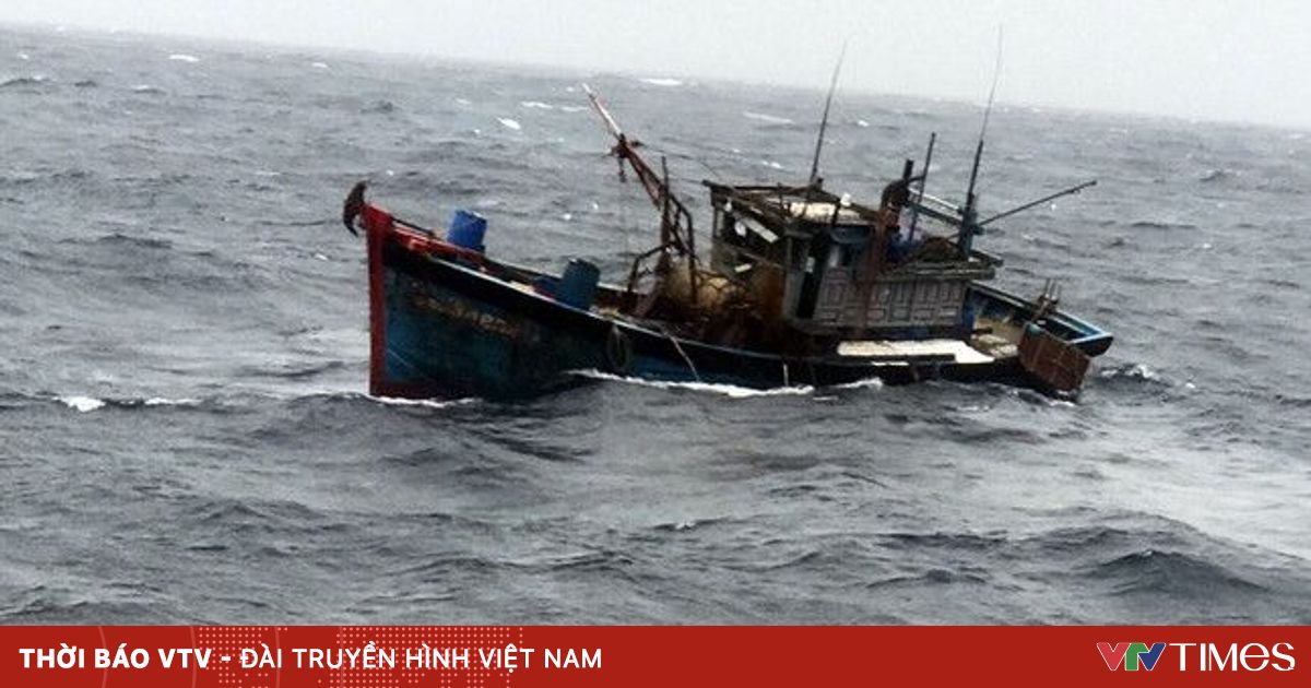 Quảng Ngãi cứu kịp thời ngư dân bị trôi dạt trên biển