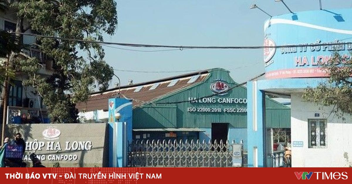 Nhà máy Đồ hộp Hạ Long (Hải Phòng) tạm dừng sản xuất