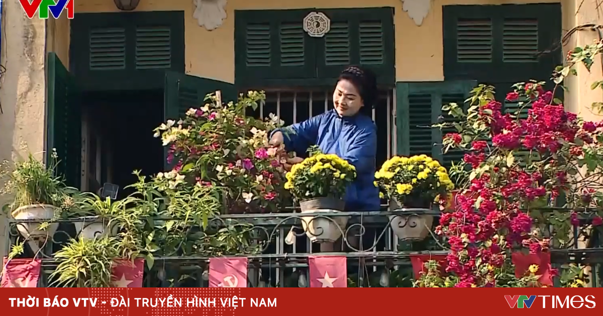 Người dân Hà Nội treo cờ, trang trí hoa chào mừng Đại hội XIV của Đảng