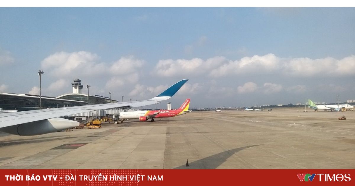 Giá cả biến động sát Tết: Lợn hơi tăng, xăng dầu giảm, vé máy bay vẫn cao