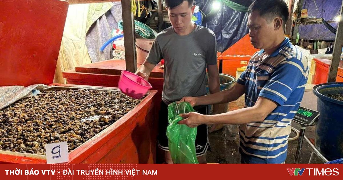 Đường dây ngâm hóa chất hơn 3000 tấn thịt ốc bị triệt phá