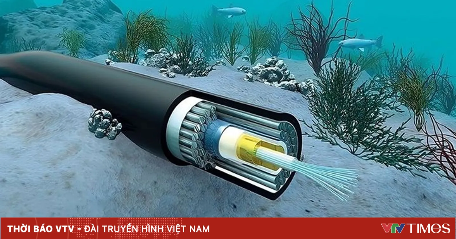 Đứt cáp quang biển AAE1, Internet Việt Nam chỉ bị ảnh hưởng một phần