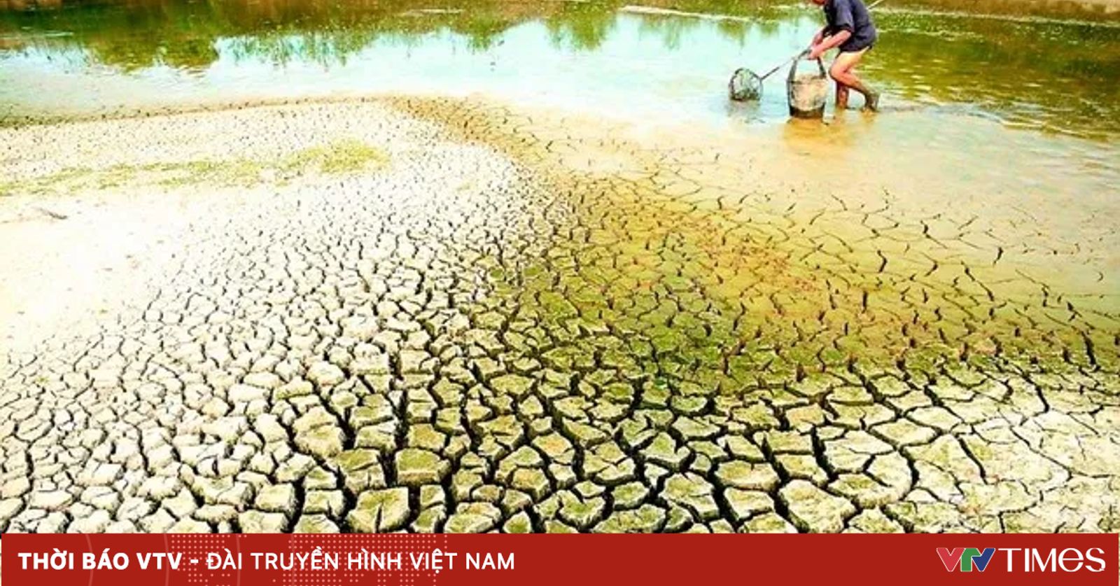 Kết luận của Bộ Chính trị về phòng, chống sụt lún, hạn hán, xâm nhập ...