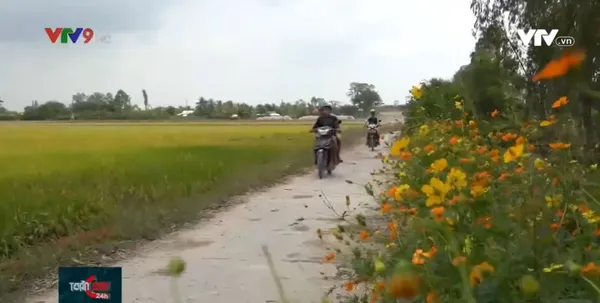 IPM - Giải pháp hiệu quả cho đồng ruộng | VTV.VN