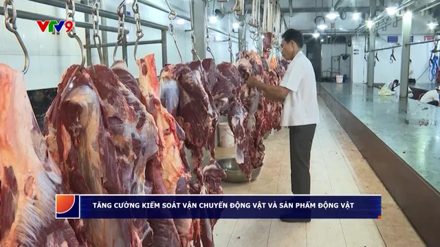 Tăng cường kiểm soát vận chuyển động vật và sản phẩm động vật - Chuyên ...