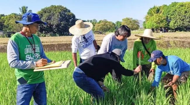Vietnam, Philippines further boost cooperation in food security | VTV